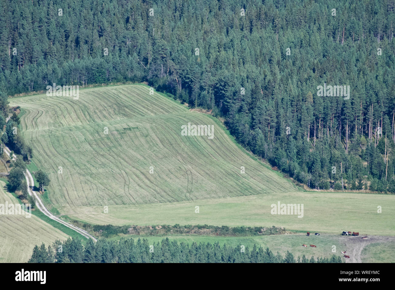 Landscape in Norway Stock Photo - Alamy