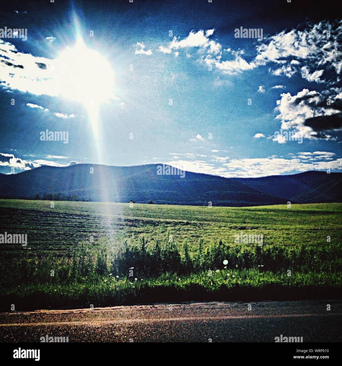 Filed in hi-res stock photography and images - Alamy