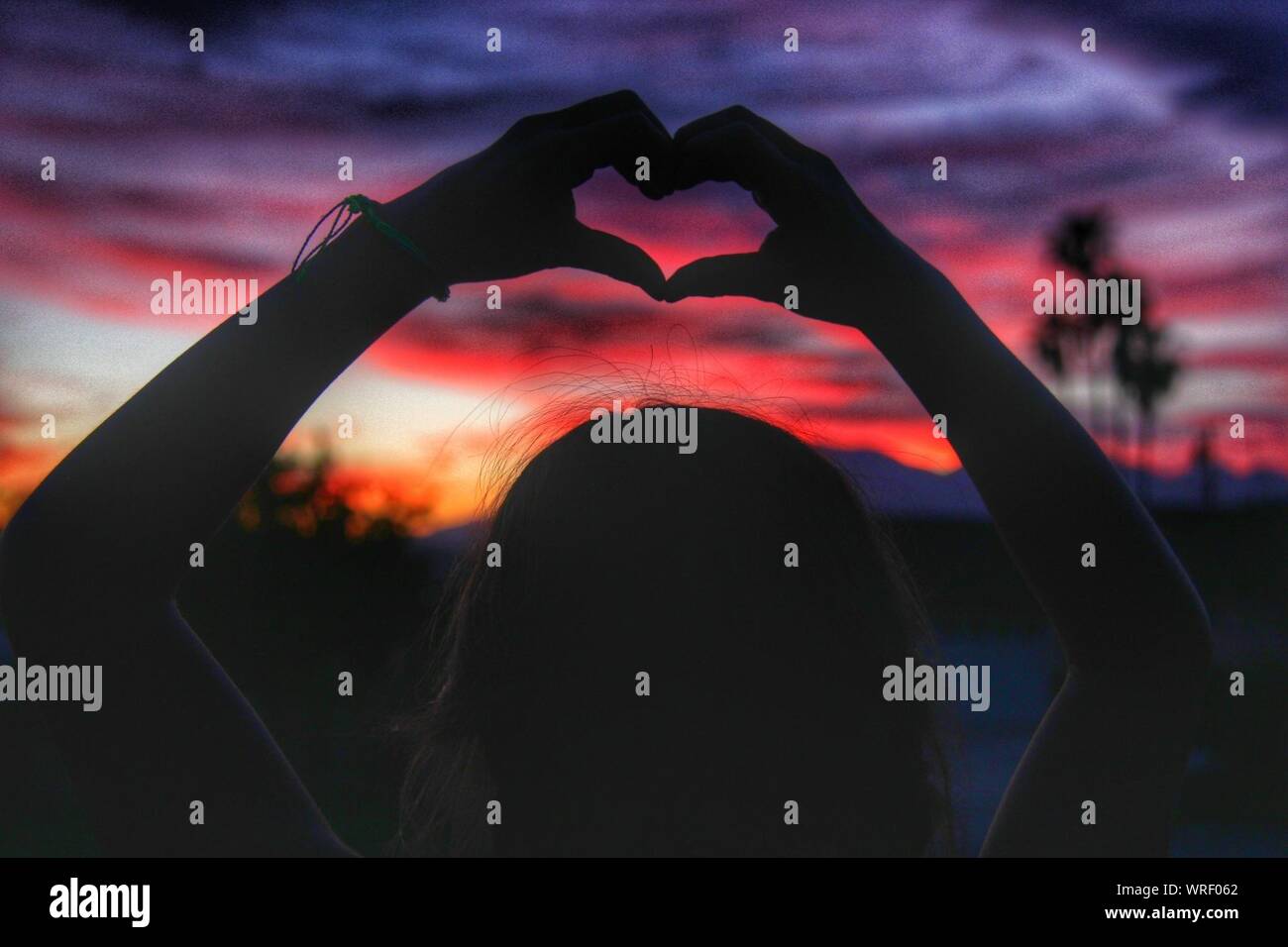 Human Heart Rear View High Resolution Stock Photography and Images - Alamy