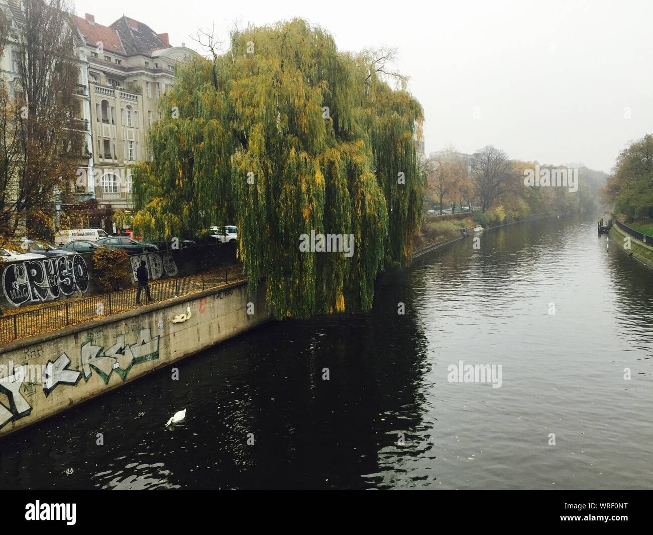 Willow walkway hi-res stock photography and images - Alamy