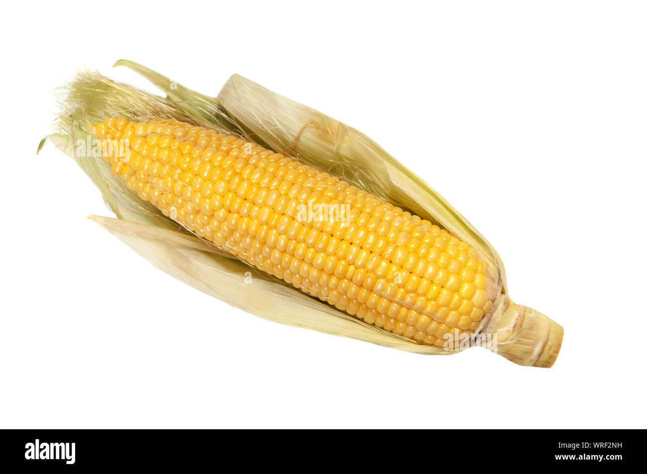 Ear of corn hi-res stock photography and images - Alamy