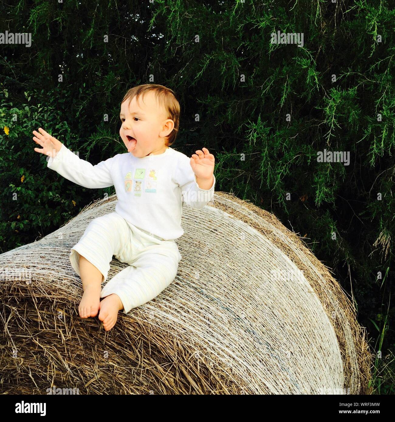 Bale Out High Resolution Stock Photography and Images - Alamy