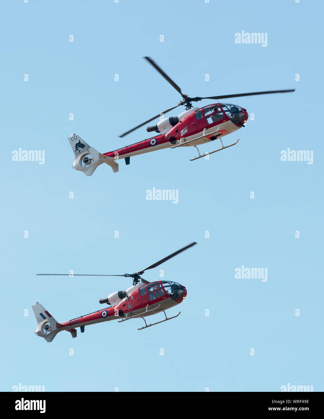 A pair of Gazelle Helicopters, part of the Royal Navy Gazelle Squadron ...