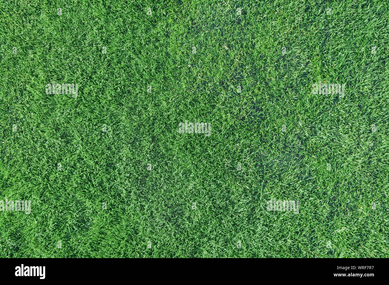 Nature background of green grass turf Stock Photo - Alamy