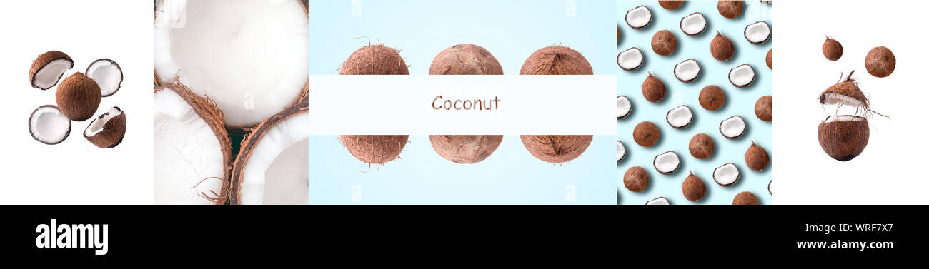 Creative layout made of coconut on blue background. Flat lay. Food ...