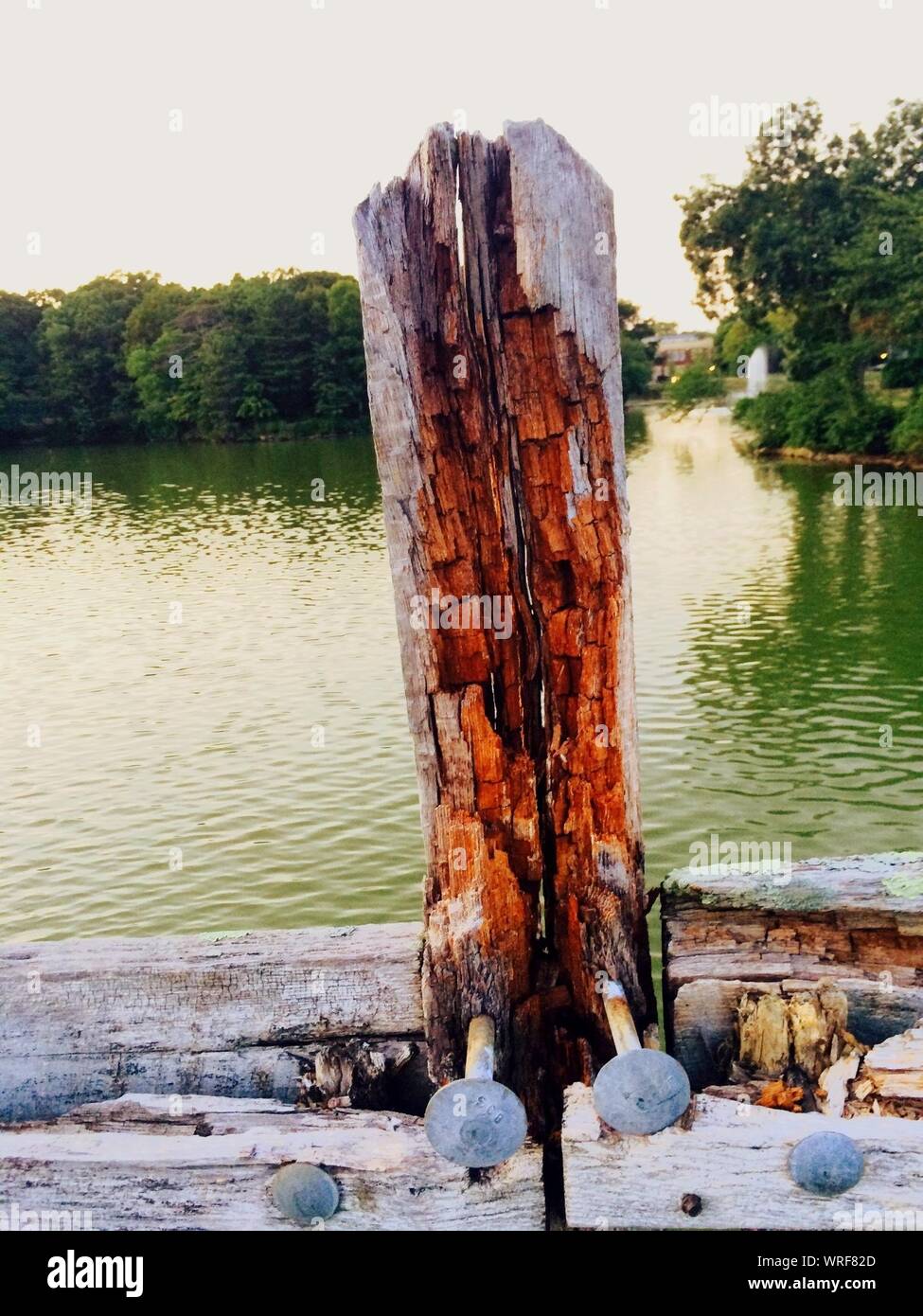 Stump lake hi-res stock photography and images - Alamy