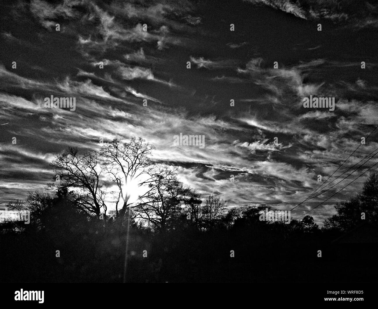 Above the tree tops Black and White Stock Photos & Images - Alamy