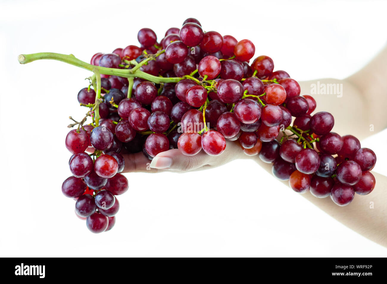 Grape vine vineyard hand Cut Out Stock Images & Pictures - Alamy