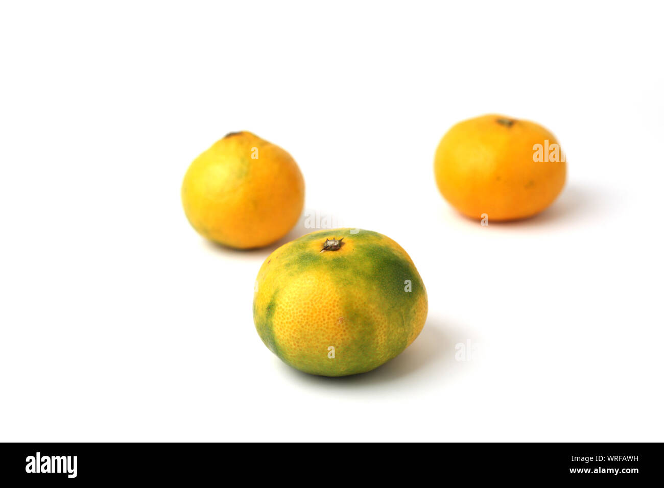 mandarin satsuma orange isolated on white background Stock Photo - Alamy