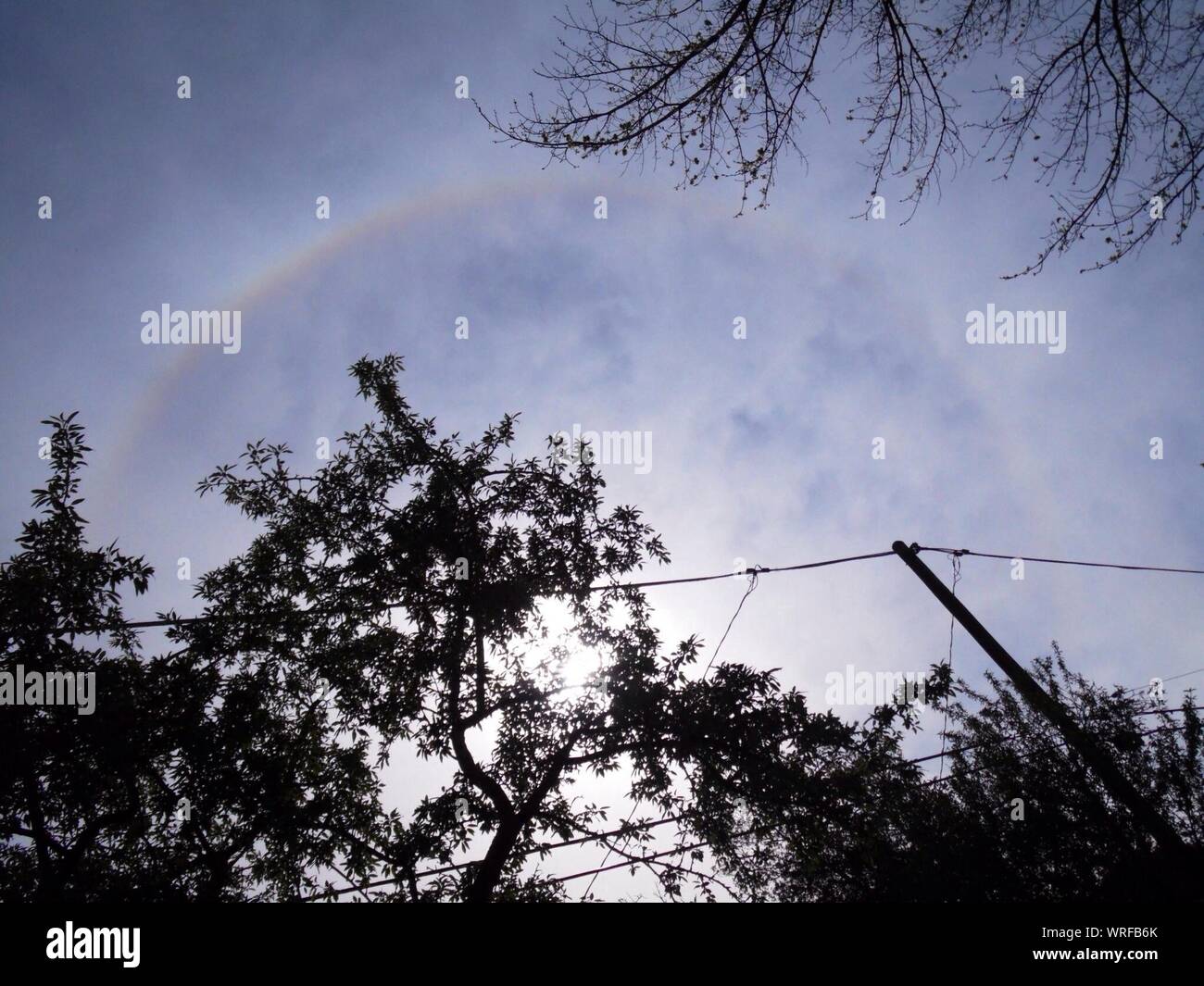 High Section Of Trees Against Rainbow Stock Photo - Alamy