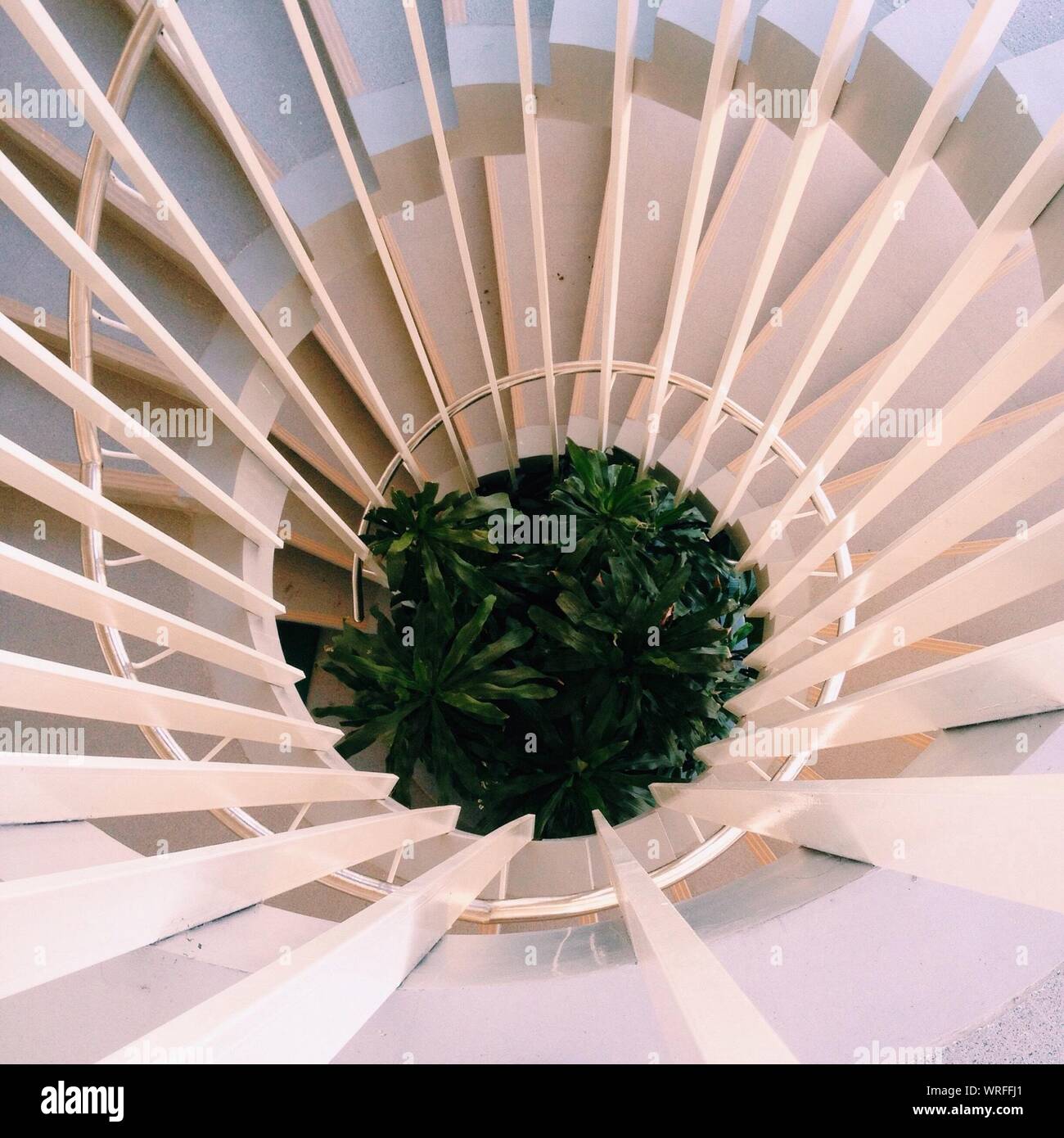 Plants from above hi-res stock photography and images - Alamy