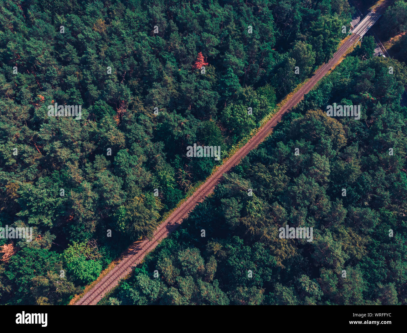 Forest china drone hi-res stock photography and images - Alamy