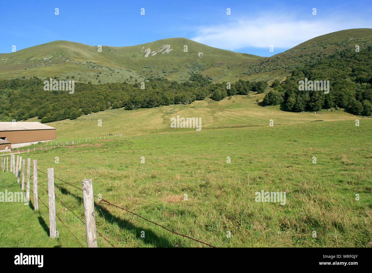 Forêt de prairie hi-res stock photography and images - Alamy