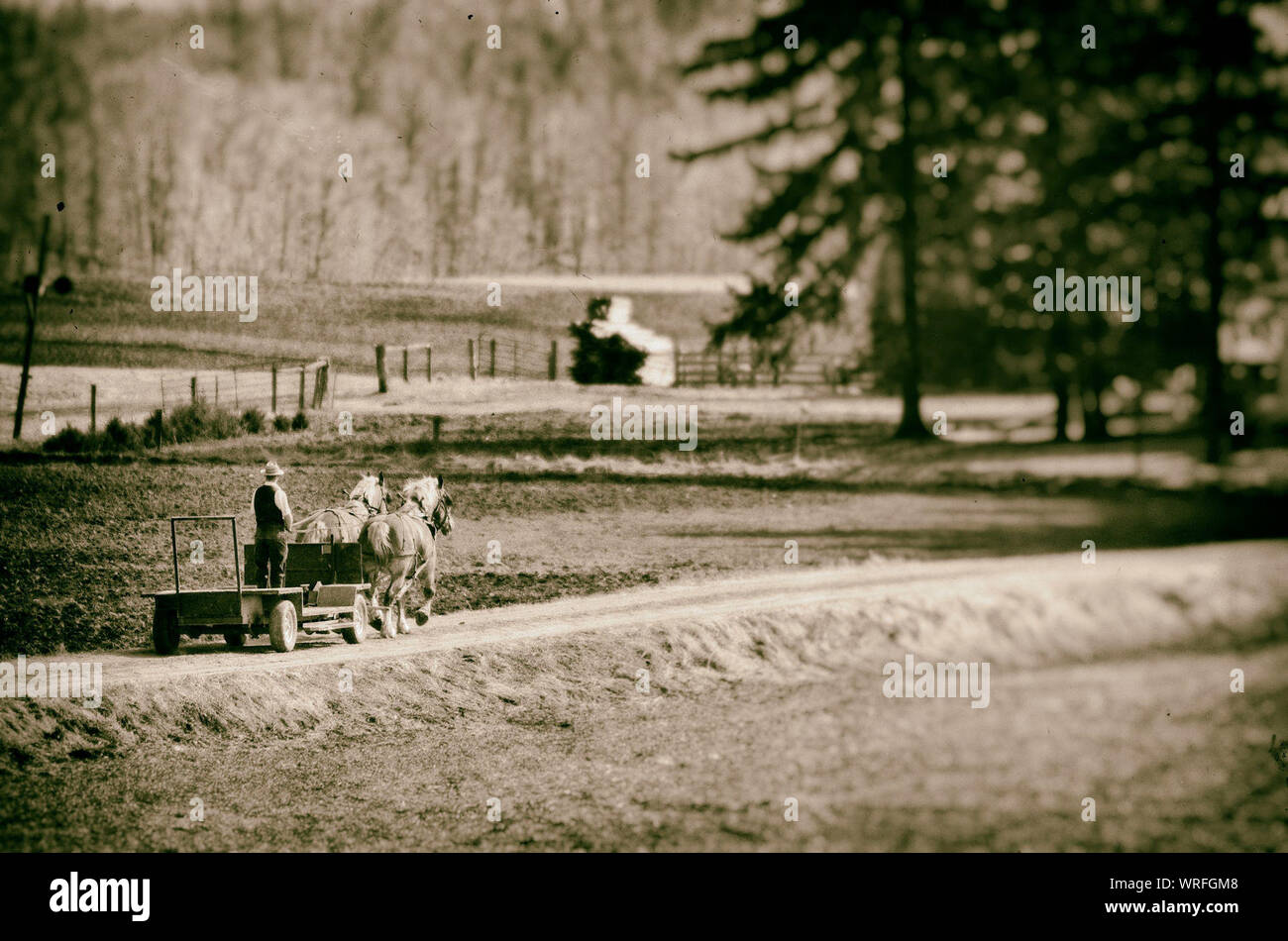 Rear view of carriage hi-res stock photography and images - Alamy