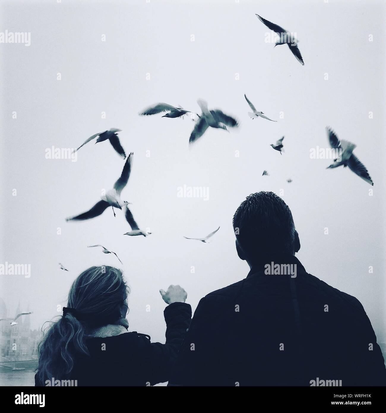 Flying friends hi-res stock photography and images - Alamy