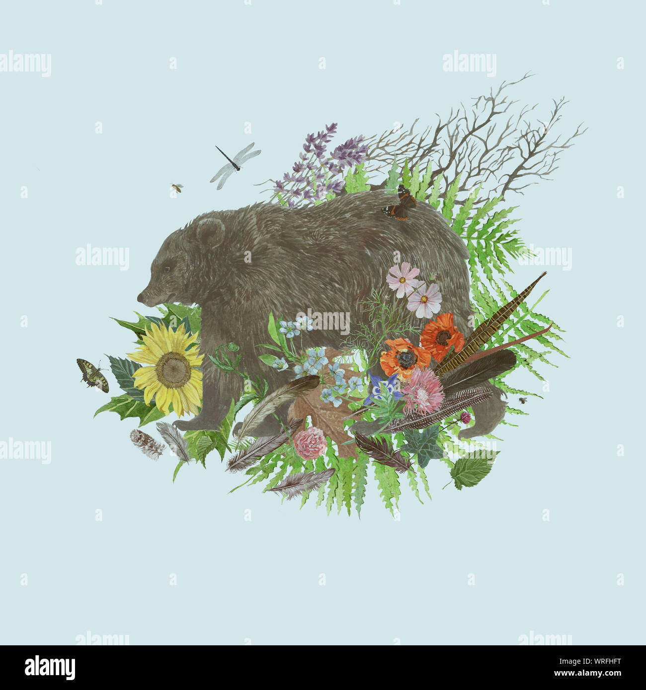 Hand drawn watercolor illustration with bear, flowers, feathers, leaves ...