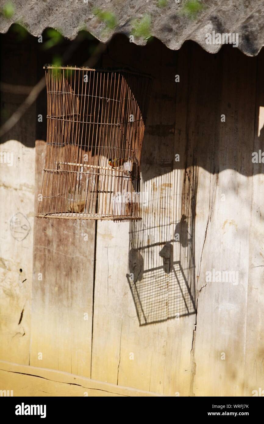 Outside cage hi-res stock photography and images - Alamy