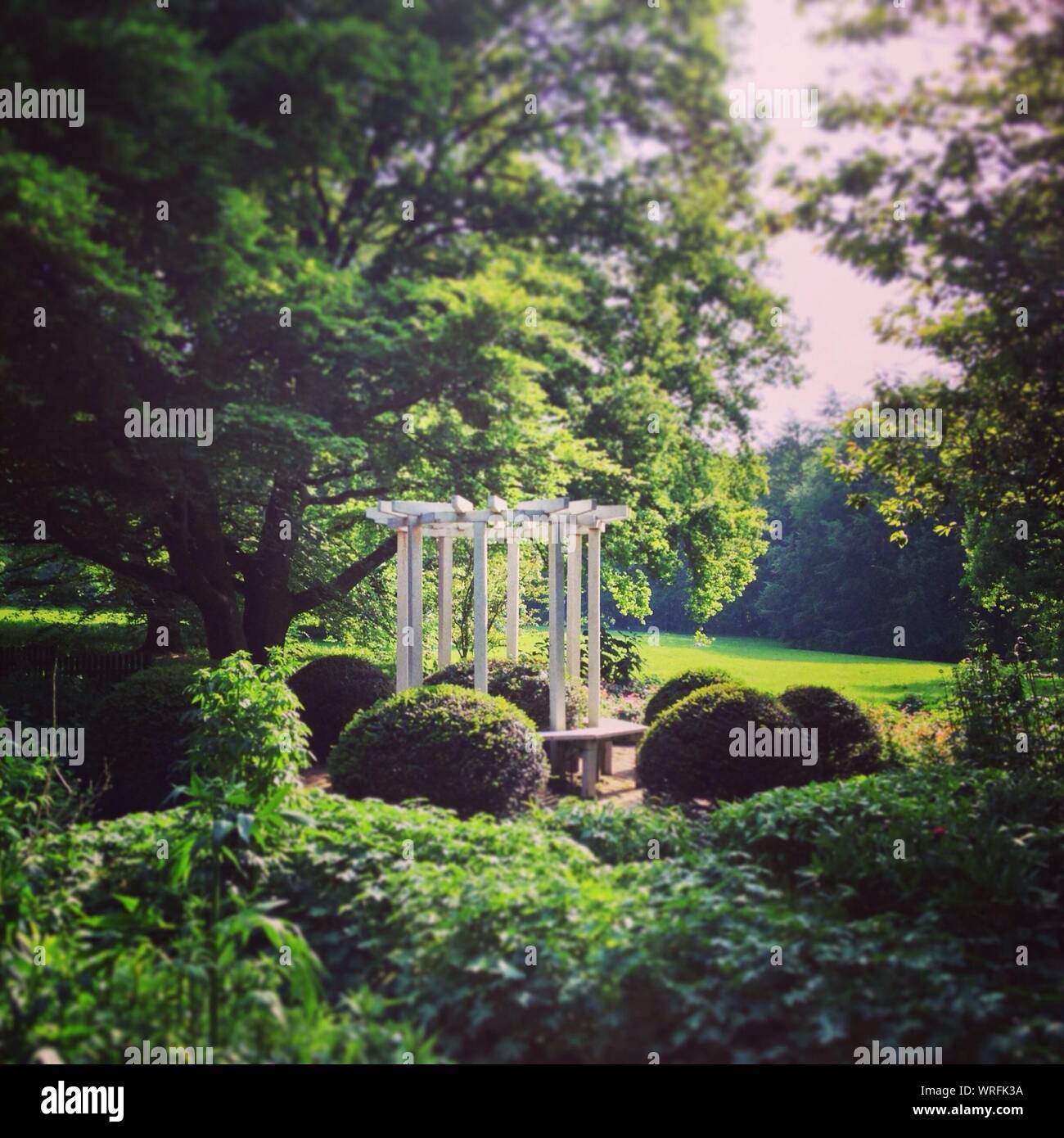 Garden structure plants hi-res stock photography and images - Alamy