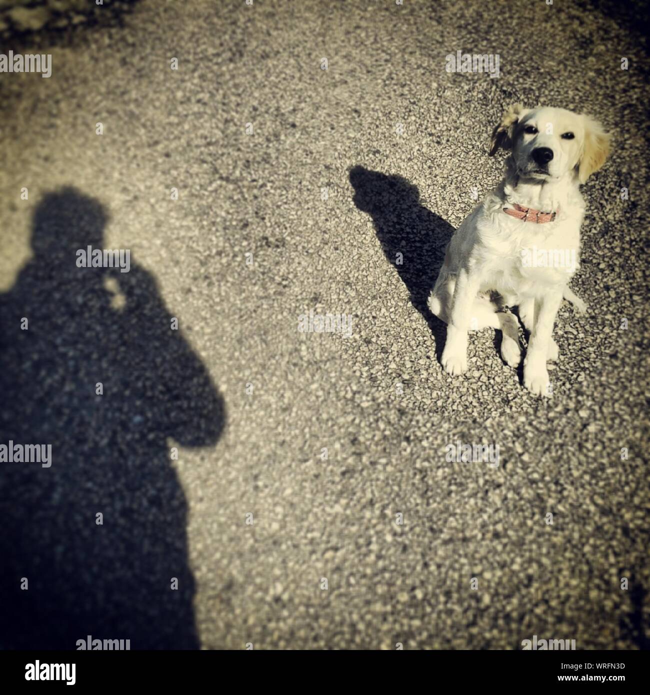 Sitting watching hi-res stock photography and images - Alamy