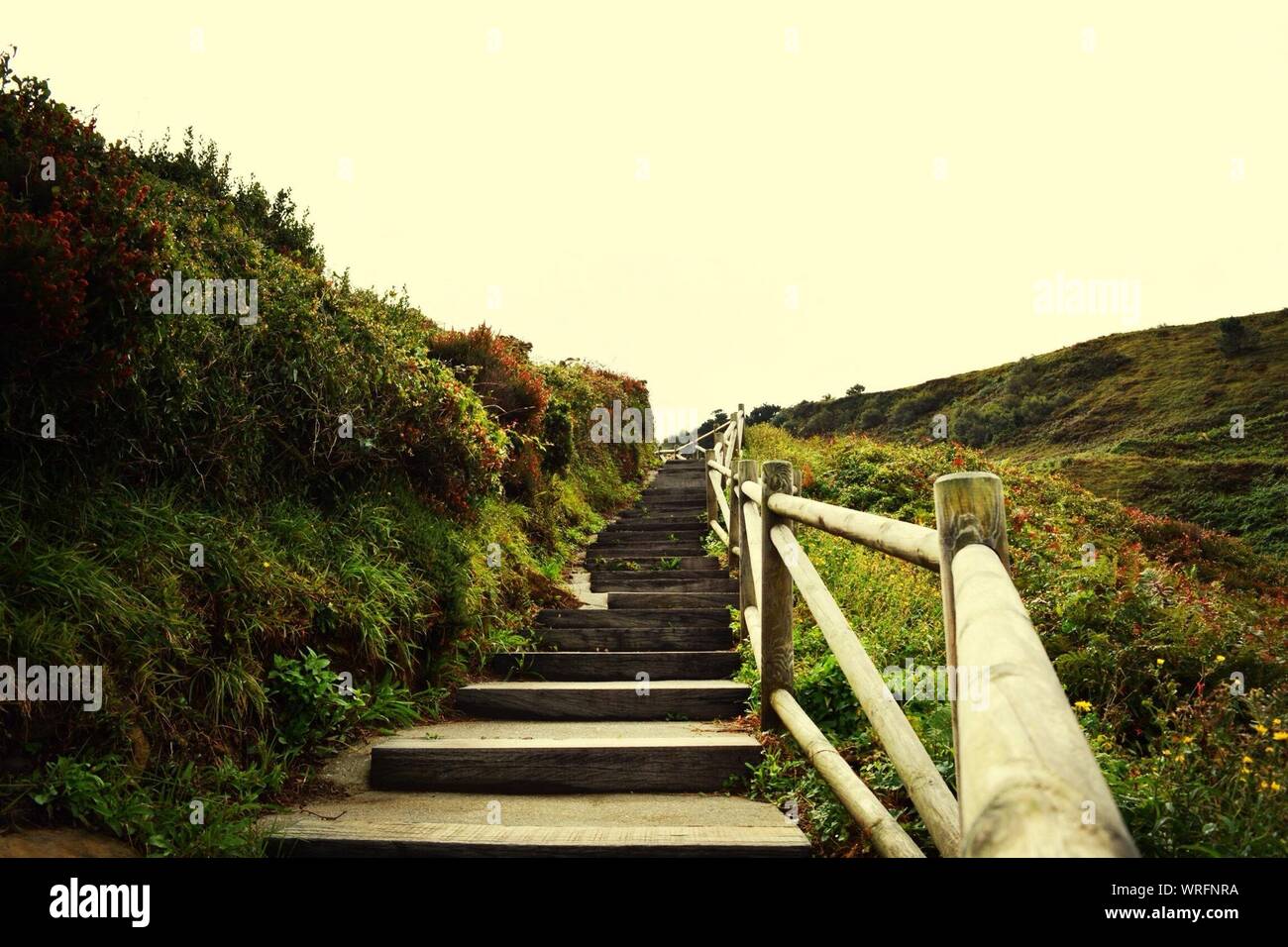 Low angle view narrow stairs hi-res stock photography and images - Alamy