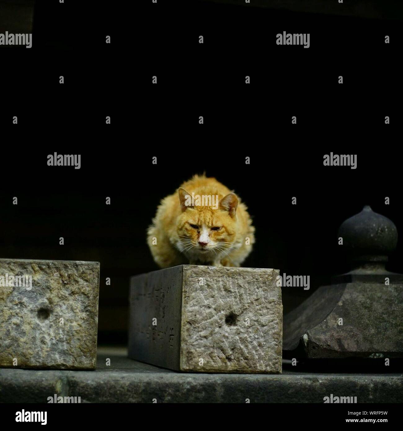 The concrete block hi-res stock photography and images - Alamy