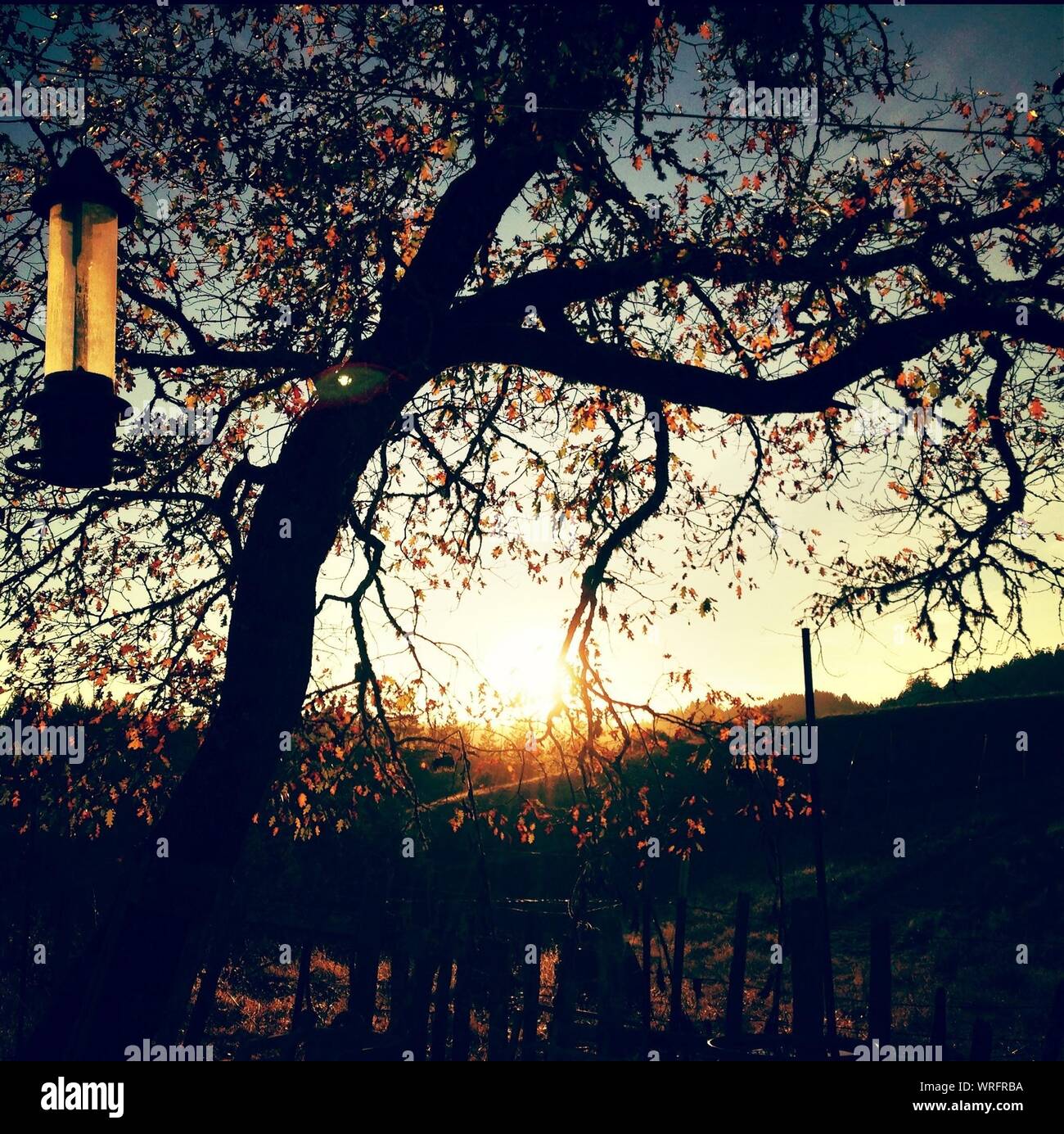 Lantern flare hi-res stock photography and images - Alamy