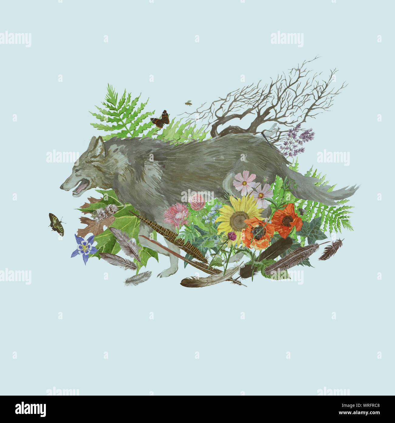 Hand drawn watercolor illustration with wolf running, leaves, flowers ...