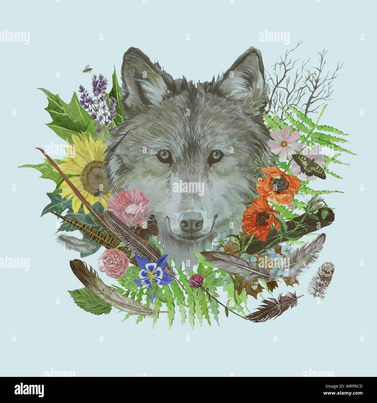 Hand drawn watercolor illustration with wolf head Stock Photo - Alamy