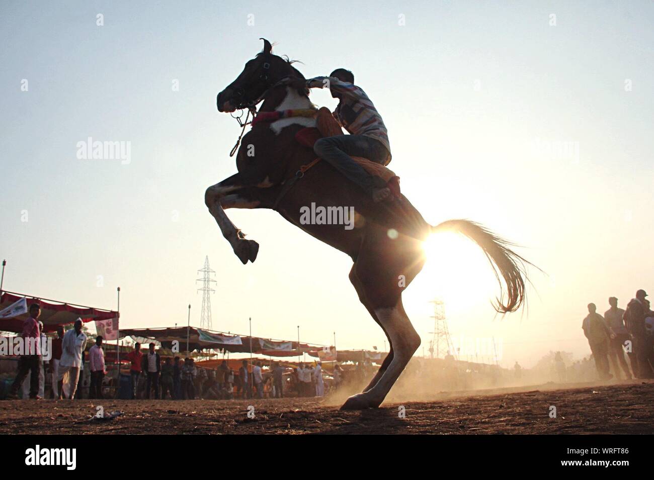 Rearing back hi-res stock photography and images - Alamy