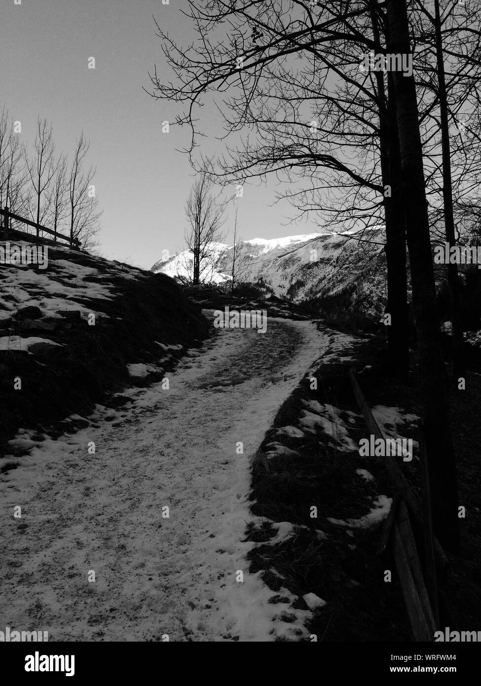 Tree covering pathway hi-res stock photography and images - Alamy