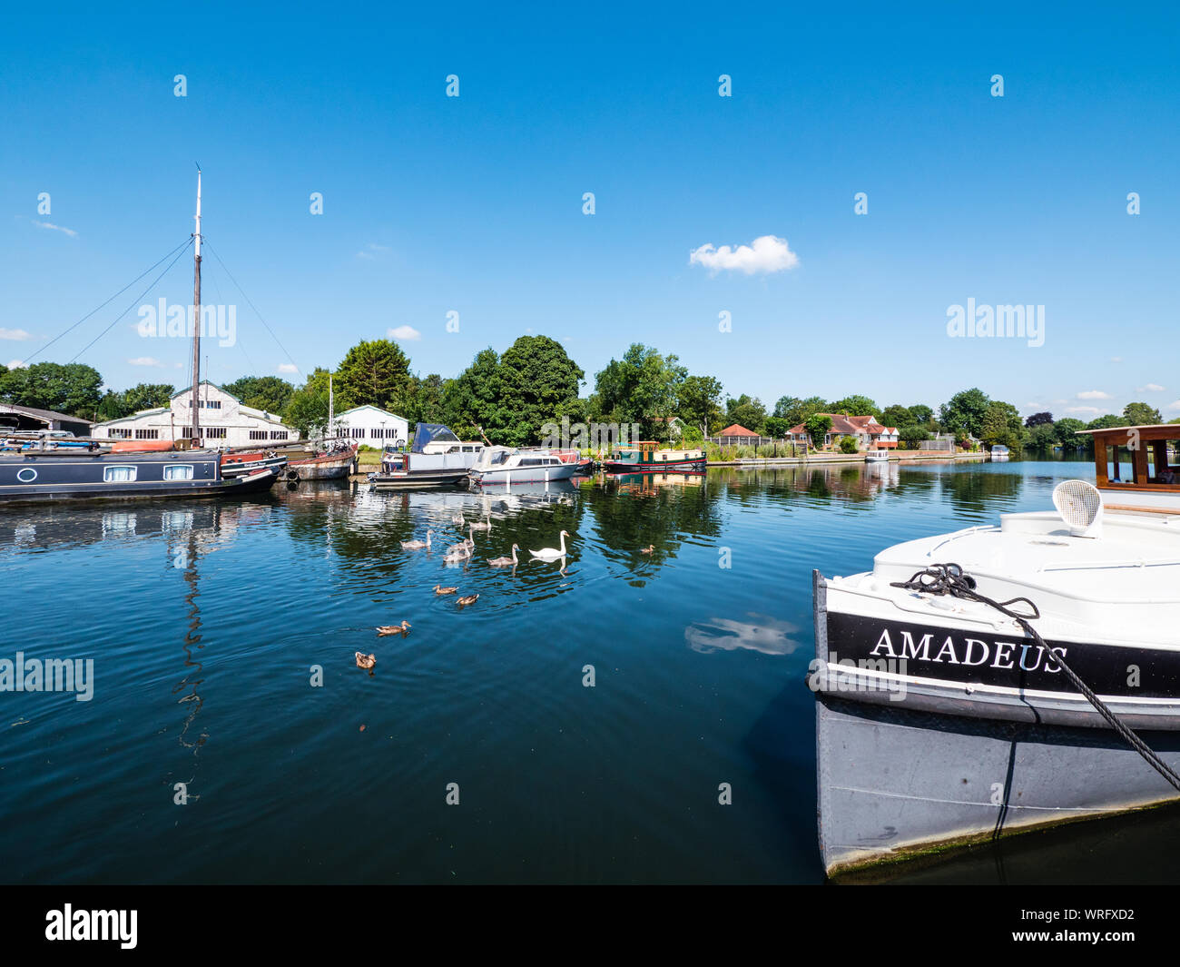 Amadeus Boat on the River Thames at, Laleham, Surrey, England, UK, GB ...