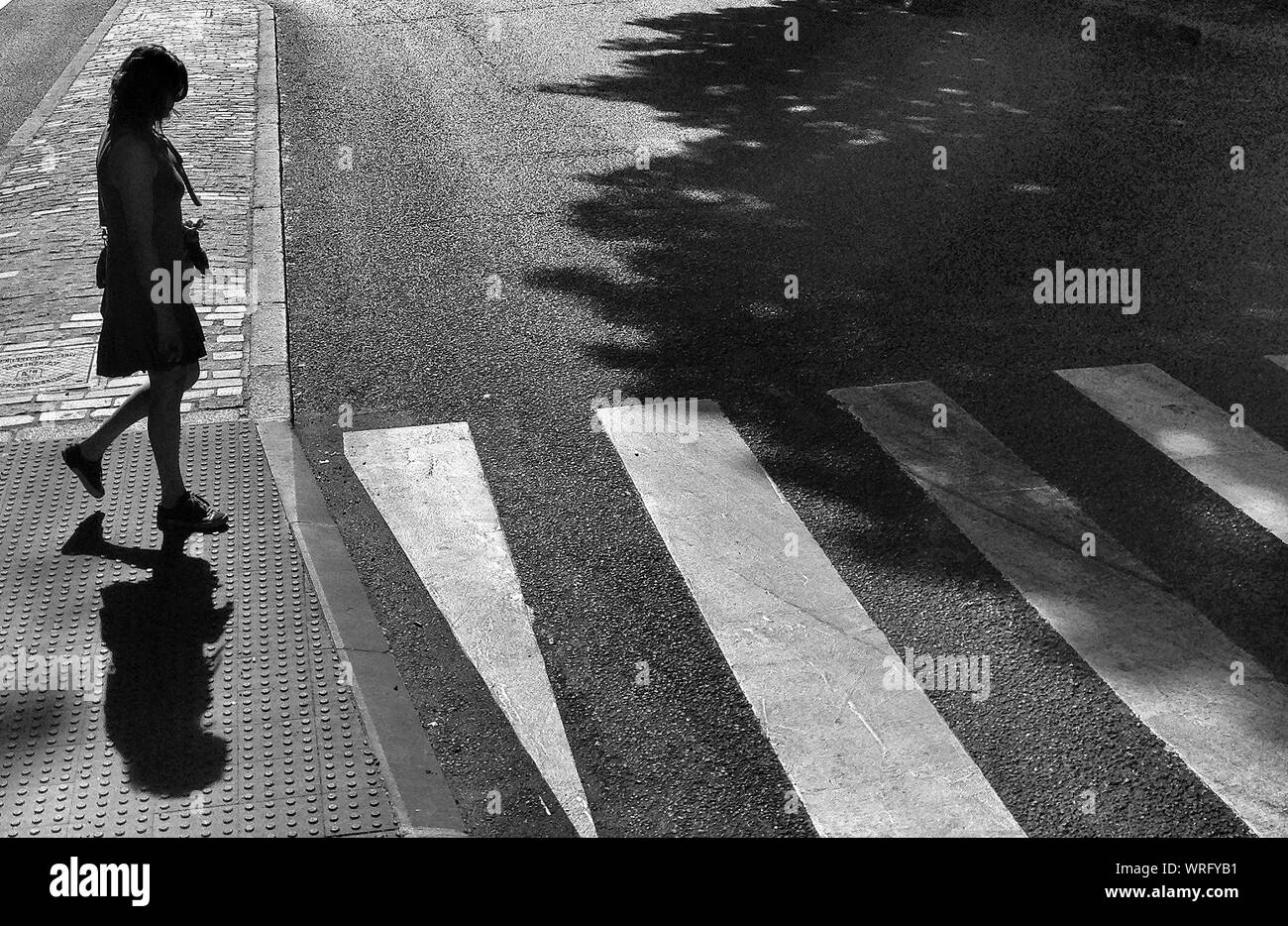 Zebra side view Black and White Stock Photos & Images - Alamy