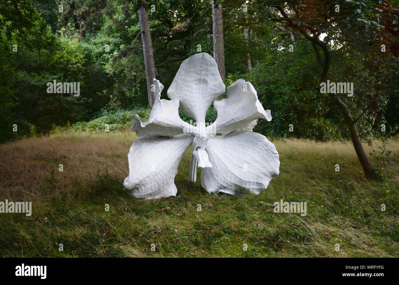 Wilder Shores of Desire in the form of a large orchid, rendered in ...