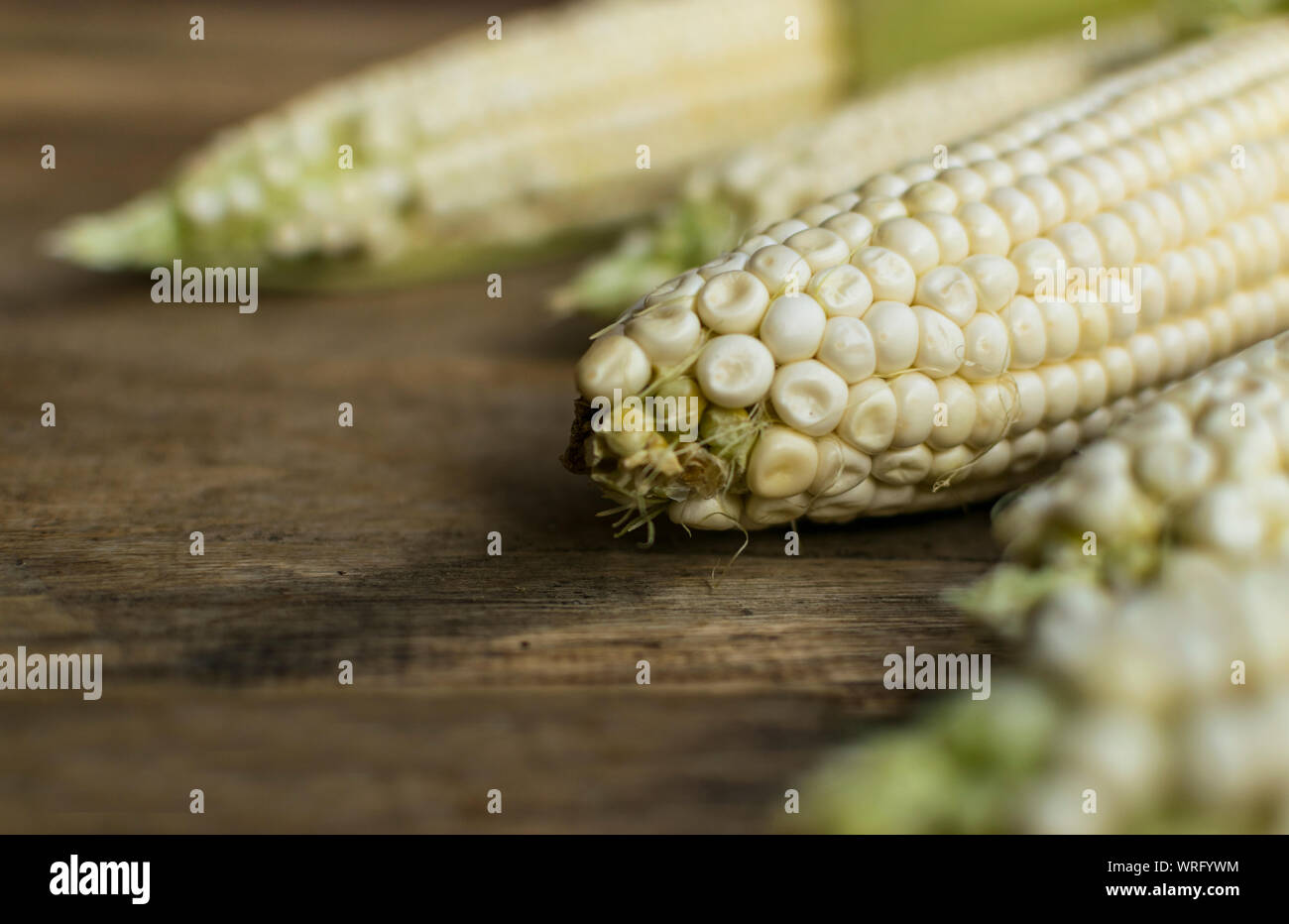 Fresh white corn cobs on old wooden background with place for text ...
