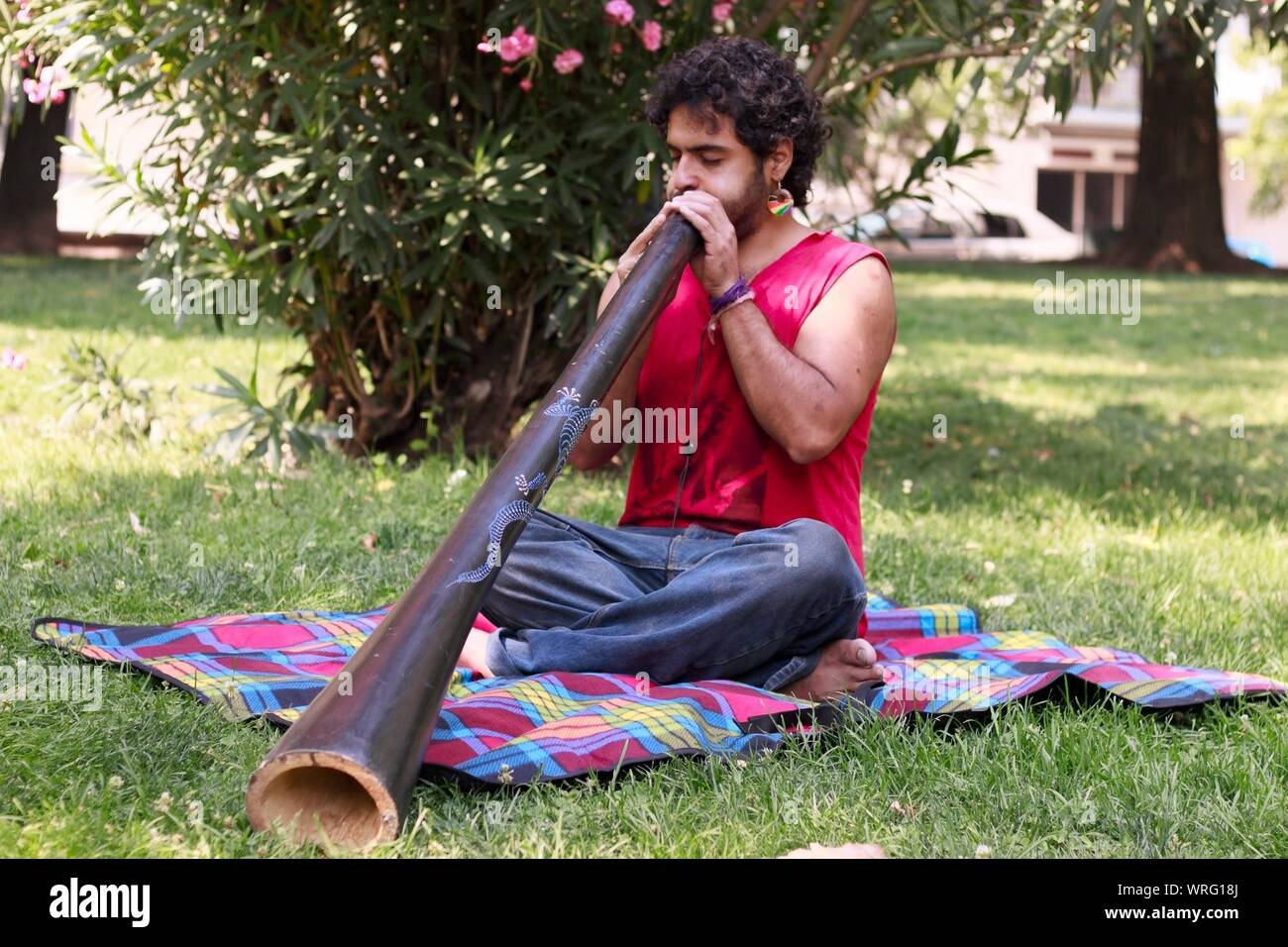 Traditional wind musical instrument hi-res stock photography and images ...