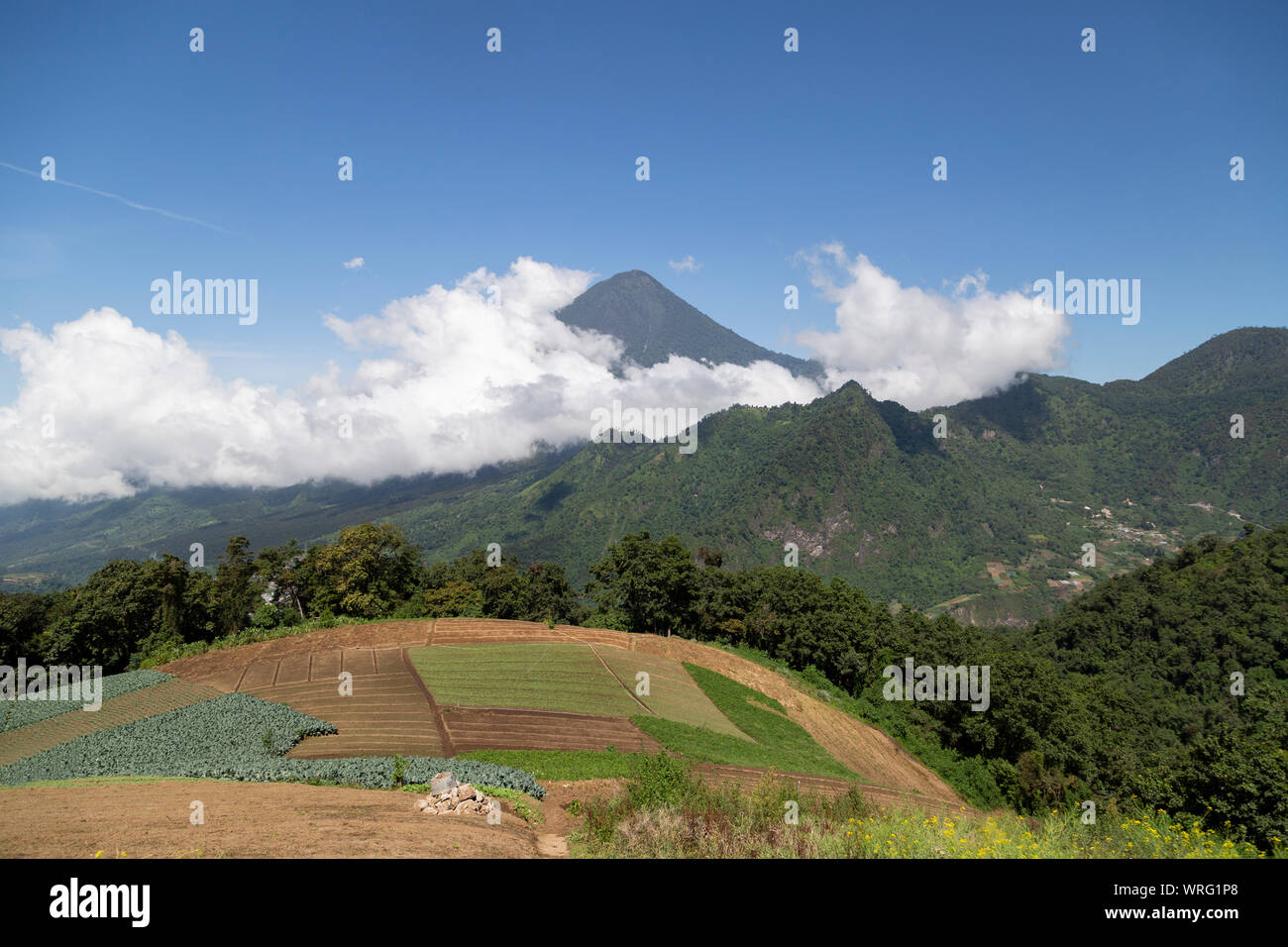 Colombia and guatemala hi-res stock photography and images - Alamy