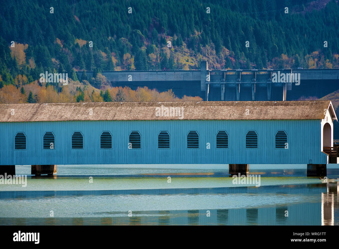 Dexter Lake Oregon Campsites