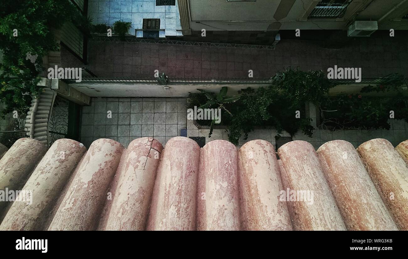 Plants from above hi-res stock photography and images - Alamy