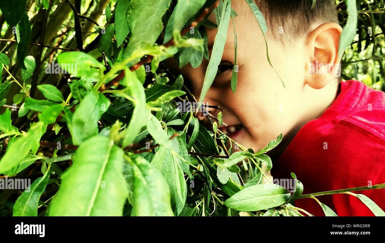Boy plants hi-res stock photography and images - Alamy