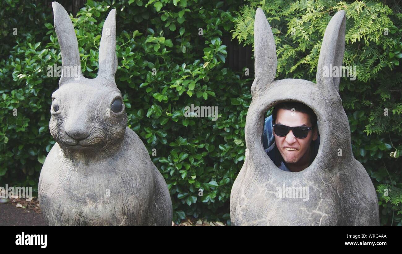 Rabbit face on hi-res stock photography and images - Alamy