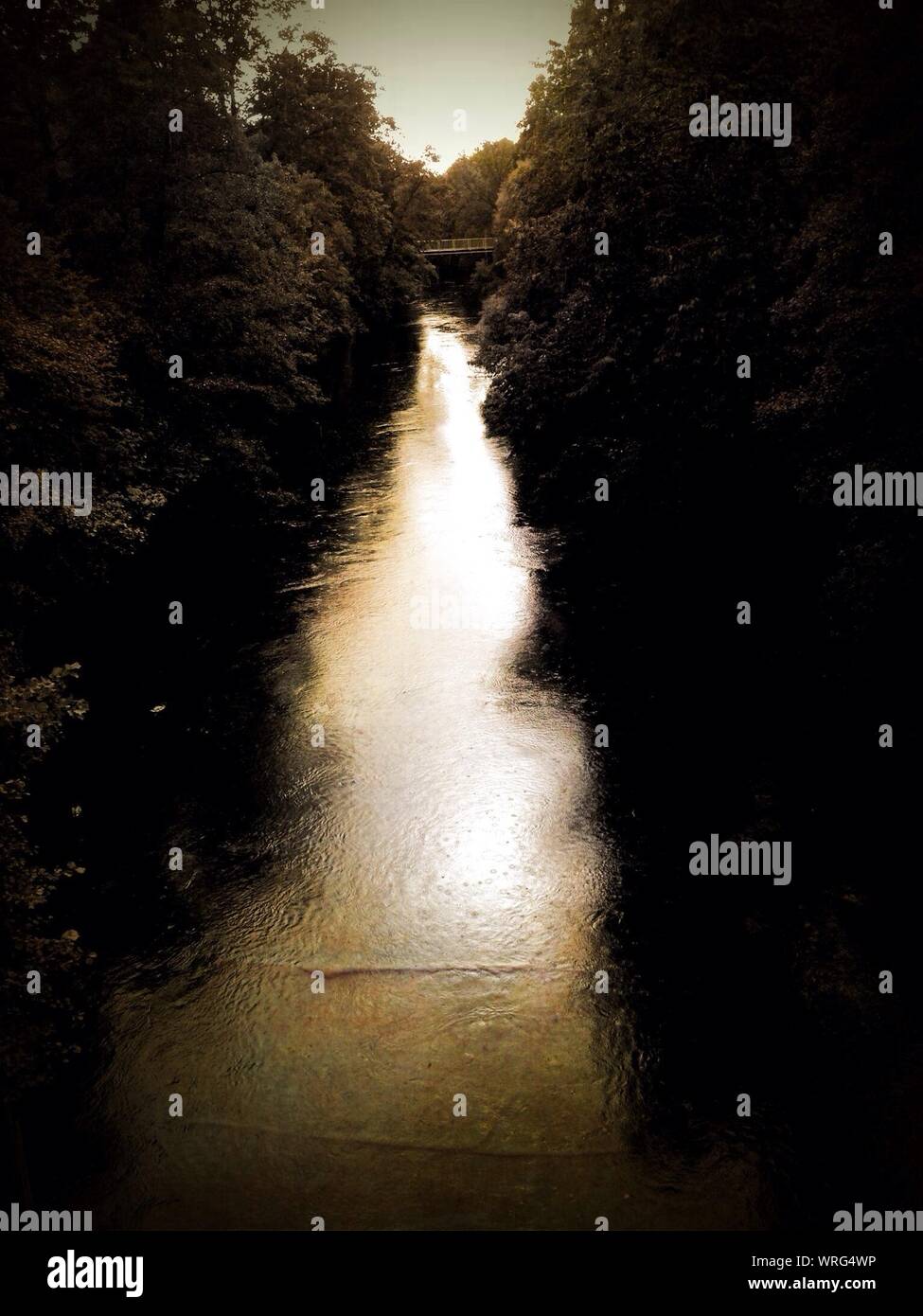 River Among Trees High Resolution Stock Photography and Images - Alamy