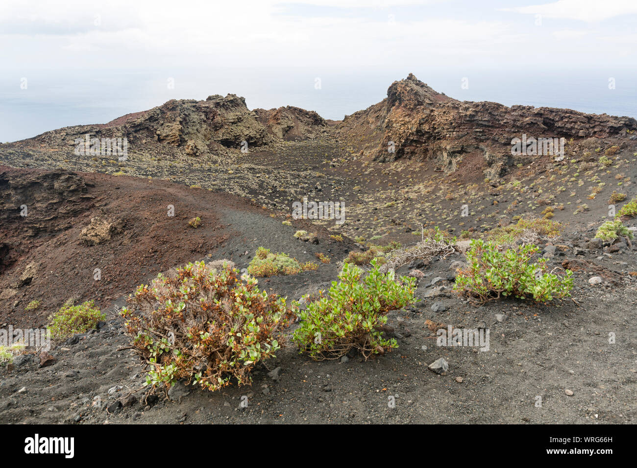 Lava and craters near the volcano San Antonio in the south of La Palma ...