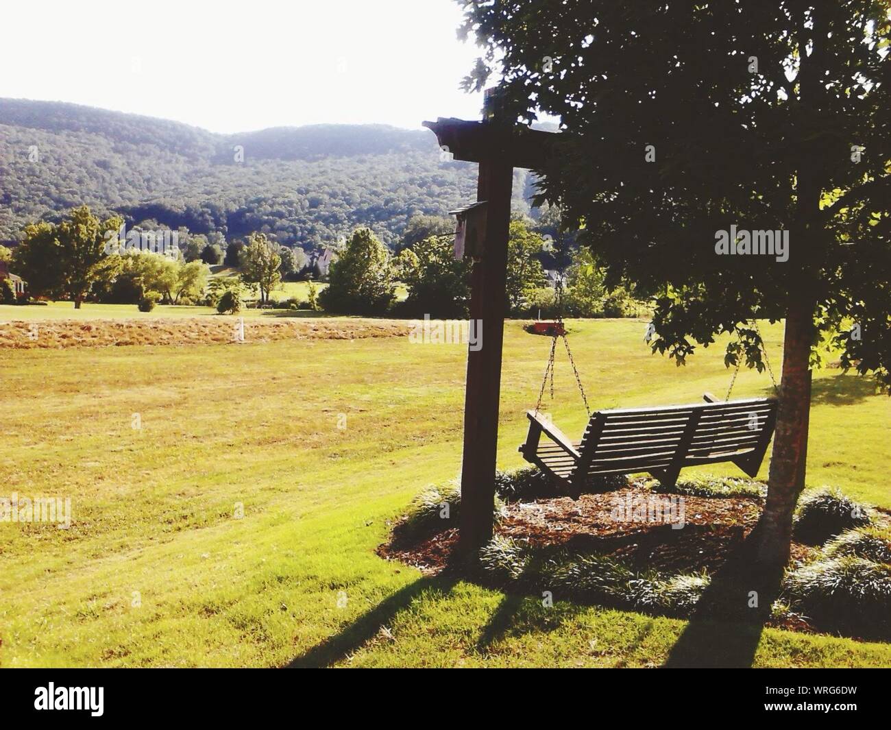 Tree with swing park hi-res stock photography and images - Alamy