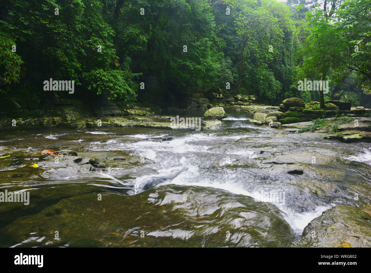 Water fall from a stream in Mawlyuuong, Shillong, Cherrapunjee, milky ...