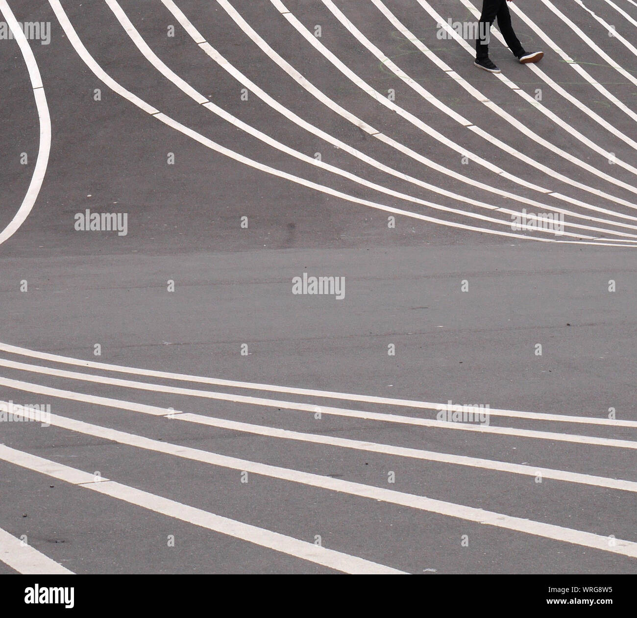 White leg markings hi-res stock photography and images - Alamy