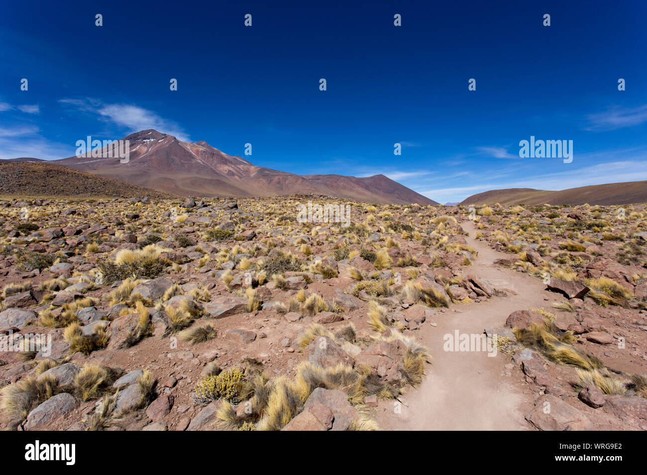 View of andes landscape in Chile Stock Photo - Alamy