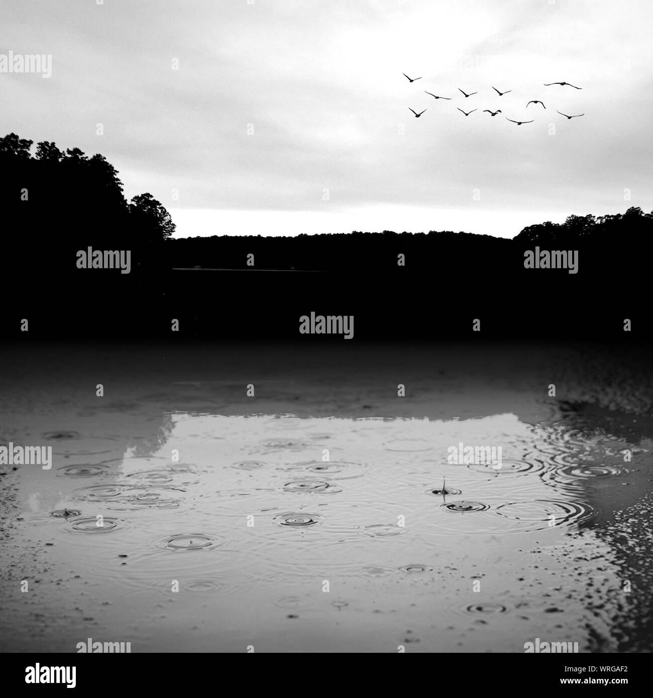 Raindrops on puddle hi-res stock photography and images - Alamy