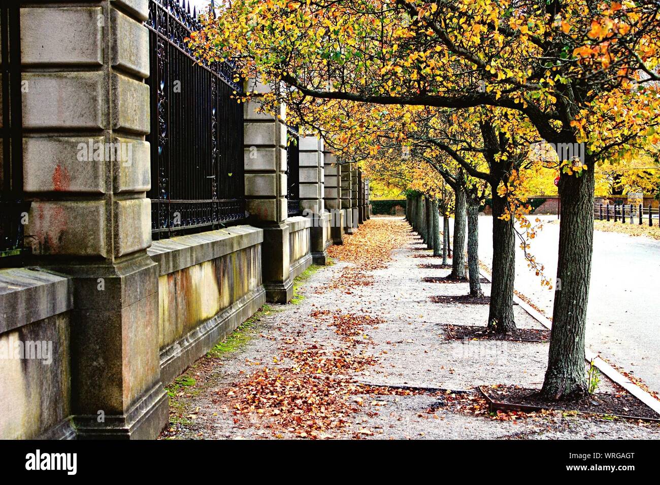 Structure with ivy hi-res stock photography and images - Alamy