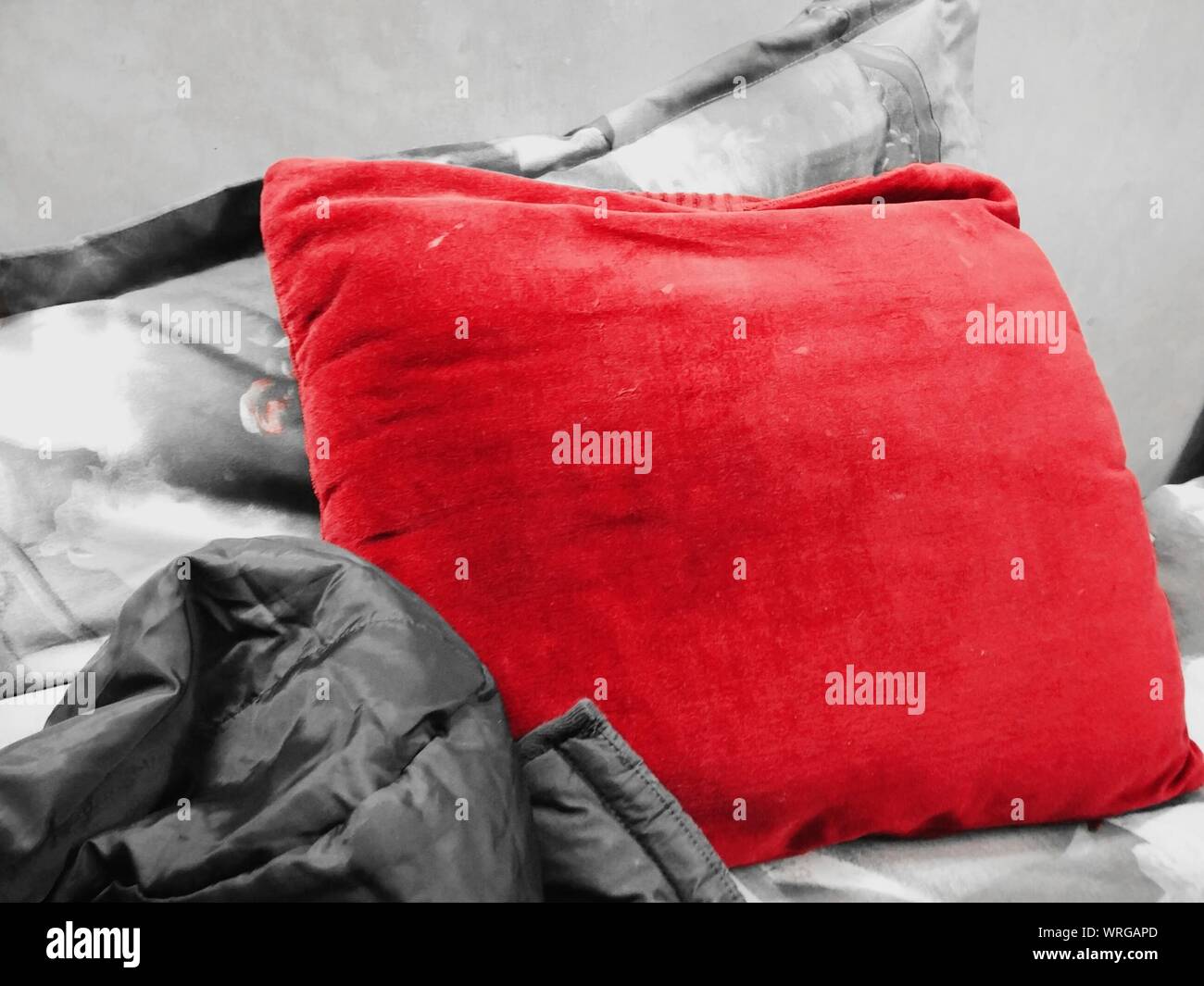 Color jacket hi-res stock photography and images - Alamy