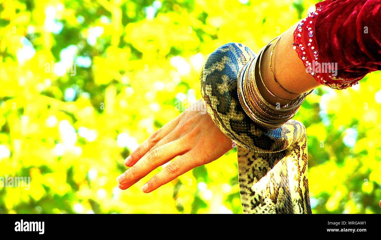 Woman holding snake hi-res stock photography and images - Alamy